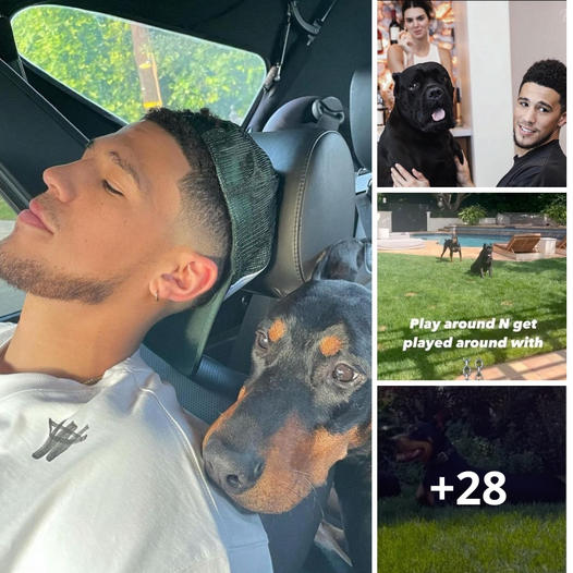 Unveiling the Unbreakable Connection: Delving into Devin Booker’s ...