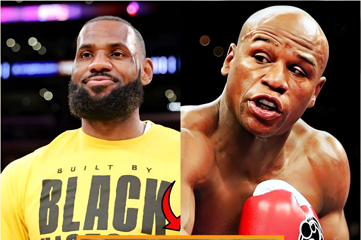 BASKETBALL vs. BOXING: The Divergent Money Management Styles of LeBron ...