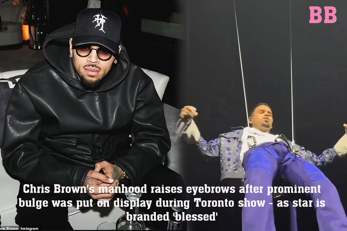 Chris Brown's manhood raises eyebrows after prominent bulge was put on ...