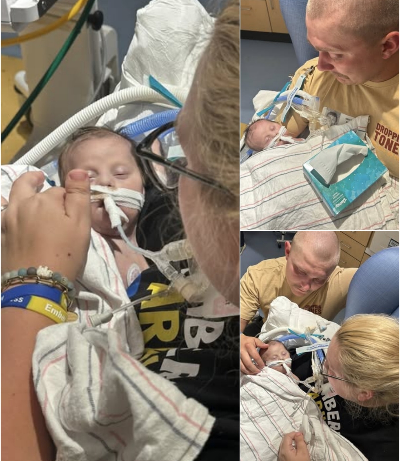 Durante a noite mais longa: a luta de Emberleigh pela vida. - News